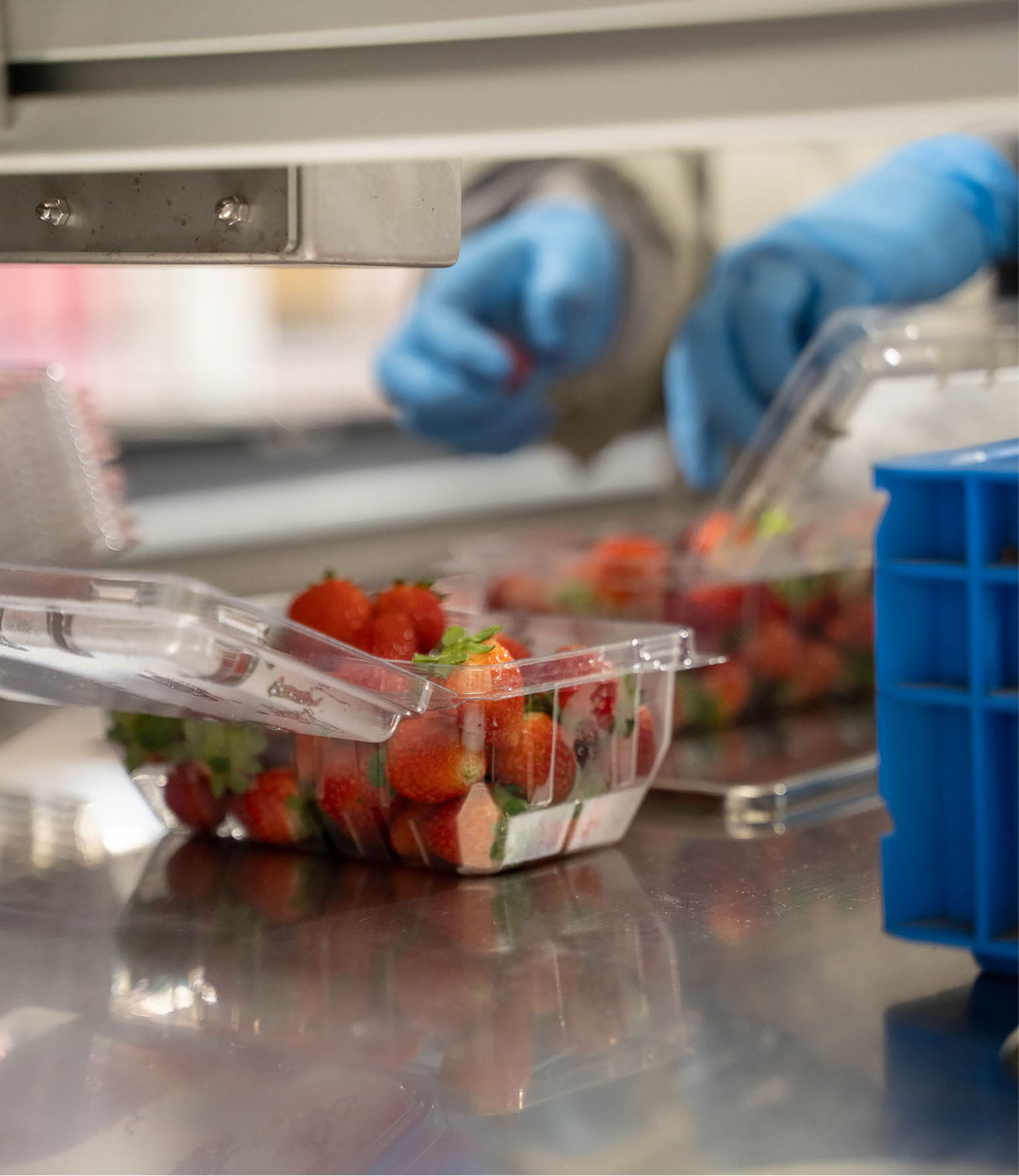 Clamshells – Nima Reimagine Redesign